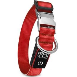 Petsation Leuchthalsband Hundehalsband rot M