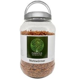 Insektus Mehlw&uuml;rmer Insekten pur 5 l