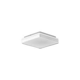 RZB ZIMMERMANN RZB LED-Wand-u. Deckenleuchte 3000/4000K 221188.002.2)
