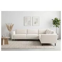 Ecksofa Home Affaire "Sveeva, L-Form, B.288 cm, schwarze Metallf&uuml;&szlig;e", creme, B:288cm H:78cm T:243cm, 100% PES, Sofas, Ecksofa, langlebiger Webstoff, mit Wellenunterfederung, viele Farben
