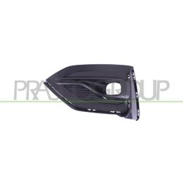 PRASCO L&uuml;ftungsgitter, Sto&szlig;f&auml;nger fd4332134 vorne links f&uuml;r FORD