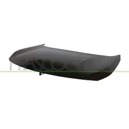 PRASCO Motorhaube pg5243100 f&uuml;r Peugeot