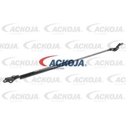 ACKOJA Gasfeder, Koffer-/Laderaum a700311 f&uuml;r TOYOTA