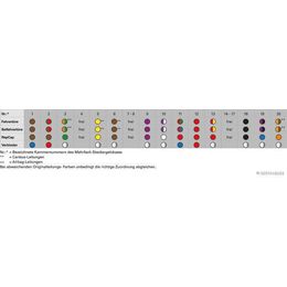 HERTH+BUSS ELPARTS Kabelreparatursatz, T&uuml;r 51277198 beidseitig f&uuml;r AUDI