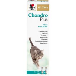 Queisser Doppelherz f&uuml;r Tiere Chondro Plus Paste f.Katzen 2X100 g