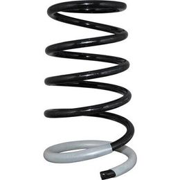 JP Group Fahrwerksfeder 4052200200 Hinterachse f&uuml;r NISSAN