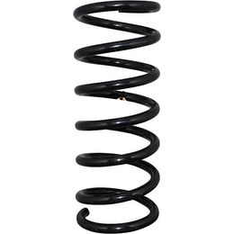 JP Group Fahrwerksfeder 1552202700 Hinterachse f&uuml;r Ford