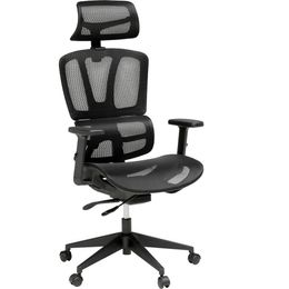 Livetastic Drehstuhl, Schwarz, Metall, Kunststoff, Textil, Drehkreuz, 56x114-124x65 cm, inklusive Armlehnen, Arbeitszimmer, B&uuml;rost&uuml;hle, Drehst&uuml;hle