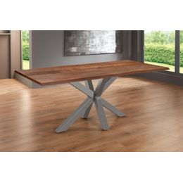 Baumkantentisch SPYRO 260 / nussbaumfarben / 260x100 / Spider-Gestell Silber