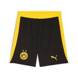 Trainingsshorts Puma "BVB SHORTS REPLICA W/ BLOCKING", Herren, Gr. L, N-Gr, Puma schwarz, faster gelb, Web, Obermaterial: 100% Polyester, regular fit kniefrei, Hosen, sportlicher Stil, f&uuml;r Fu&szlig;balltraining, mit DryCELL-Technologie