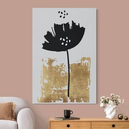 Akustikbild Goldene Mohn Blume