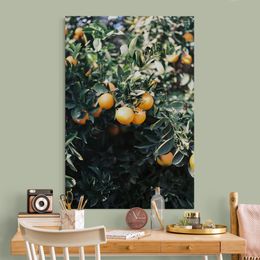 Akustikbild Italienische Orangen