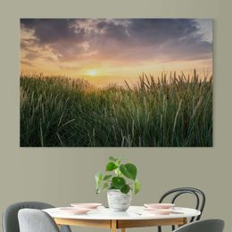 Akustikbild Langeoog Graslandschaft bei Sonnenuntergang