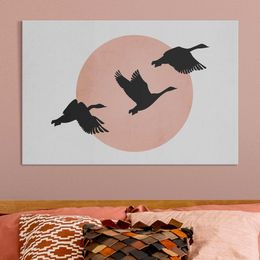 Akustikbild V&ouml;gel vor rosa Sonne III