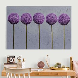 Akustikbild Allium Kugel-Bl&uuml;ten