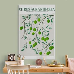 Akustikbild Citrus Aurantifolia
