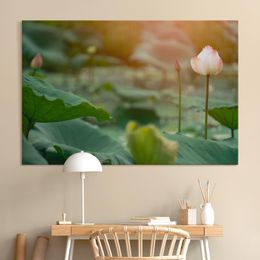 Akustikbild Erbl&uuml;hende Seerose