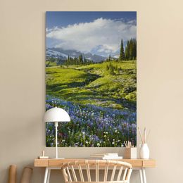 Akustikbild Bergwiese mit blauen Blumen vor Mt. Rainier