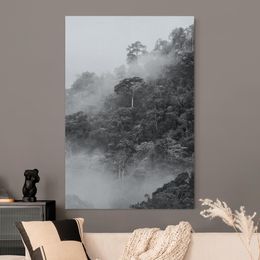 Akustikbild Dschungel im Nebel Schwarz Wei&szlig;