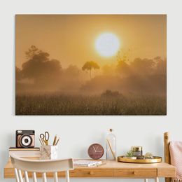 Akustikbild Kenia Savannenlandschaft im Morgennebel