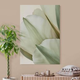 Akustikbild Zarte Tulpenbl&uuml;ten Gr&uuml;n