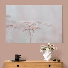 Akustikbild Zartrosane Wildblumen
