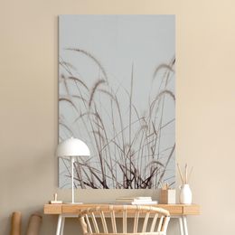 Akustikbild Elegante Gr&auml;ser
