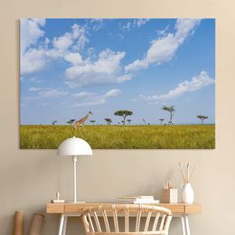 Akustikbild Kenia Giraffe in Savannenlandschaft