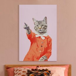 Akustikbild Katze mit Stil