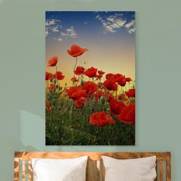 Akustikbild Mohnblumenfeld im Sonnenuntergang