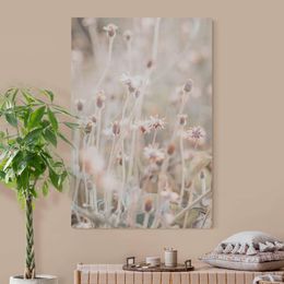 Akustikbild Strahlende Blumenwiese