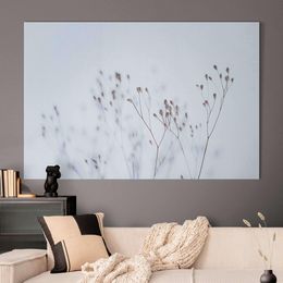 Akustikbild Zartblaue Wildblumen