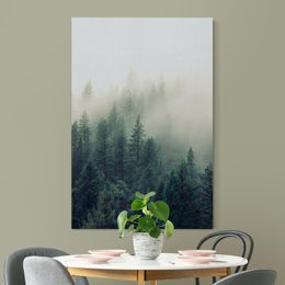 Akustikbild Wald im Nebel Erwachen