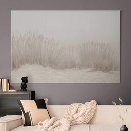 Akustikbild D&uuml;nengras in Beige