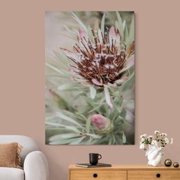 Akustikbild Trockenblume in Rosa und Gr&uuml;n