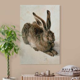 Akustikbild Albrecht D&uuml;rer - Junger Feldhase