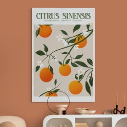 Akustikbild Citrus Sinensis