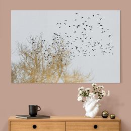 Akustikbild Vogelschwarm vor goldenem Baum