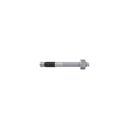 Fischer Bolzenanker FAZ II Plus 10/30 (564581)
