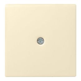 GIRA Zentraleinsatz cws-gl f.Schnurableitung 027401)