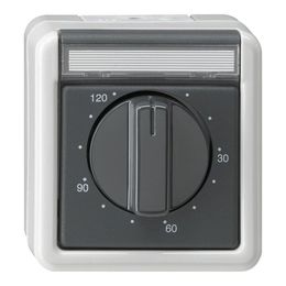 GIRA Zeitschalter gr 120Min., AP-WG 032130)