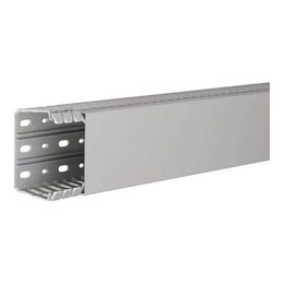 TEHALIT Verdrahtungskanal 60x80mm BA7 60080 gr (BA760080)