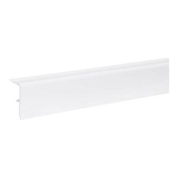 TEHALIT Sockelleistenkanal 20x50, 2-Weichlippen SL 200570 rw (SL2005709010)