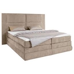 Boxspringbett Collection AB "Copenhagen", braun (mittelbraun), B:231cm L:215cm, Holzwerkstoff, Spanplatte, Komplettbetten, Boxspringbett, inklusive Bettkasten, Topper, wahlweise mit LED-Beleuchtung
