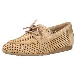 Schn&uuml;rschuh Paul Green "Paul Green Halbschuhe Veloursleder", Damen, Gr. 38,5, beige, Veloursleder, Schuhe Schn&uuml;rschuh