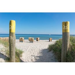 SONSTIGE Leinwandbild STRANDK&Ouml;RBE