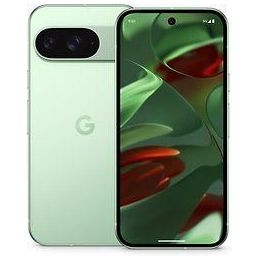 Google Pixel 9 Dual SIM 256GB wintergreen