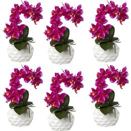 Phalaenopsis, real touch, H&ouml;he 330 mm, VE 6 Stk, Keramiktopf, lila kaiserkraft