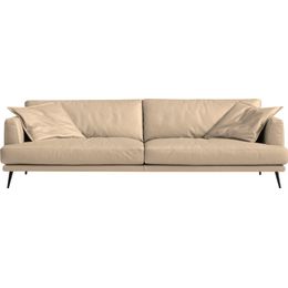 2,5-Sitzer Egoitaliano "Sophia, Designsofa mit extrakomfortablem Sitzkomfort, Breite 214cm", beige (champagner), B:214cm H:77cm T:96cm, Leder BULL (Echtes Rindsleder). Geschliffenes, pigmentiertes und behandeltes Rindsleder mit einer Dicke von 1, 3-1, 5 mm. Es handelt sich um ein weiches, gesch&uuml;tztes Leder. Eine leichte Deckschicht sch&uuml;tzt sie vor Flecken, ohne ihre urspr&uuml;nglichen Eigenschaften zu