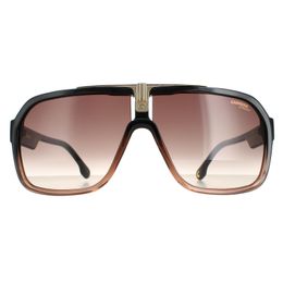 Carrera Aviator Herren Schwarz Braun Braun Gradient 1014/S